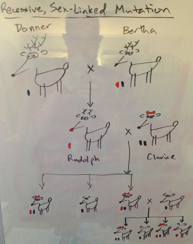 The Red Nose Gene [Repost] – The Finch and Pea