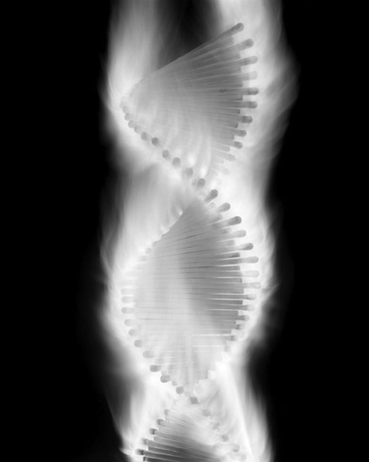 The Art of Science: Caleb Charland Experiments with Photography – The ...