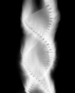 The Art of Science: Caleb Charland Experiments with Photography – The ...