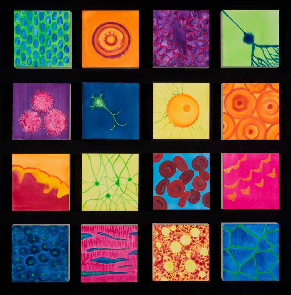 The Art of Science: A Portrait in Cells – The Finch and Pea