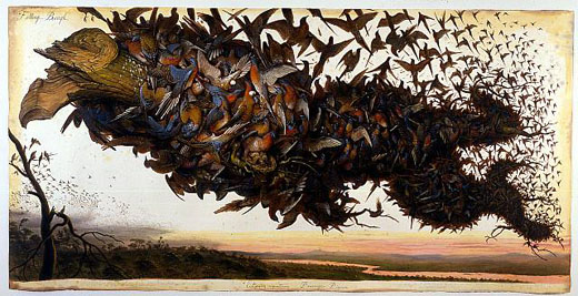 The Art of Science: Which Bird Do We Want Back? – The Finch and Pea