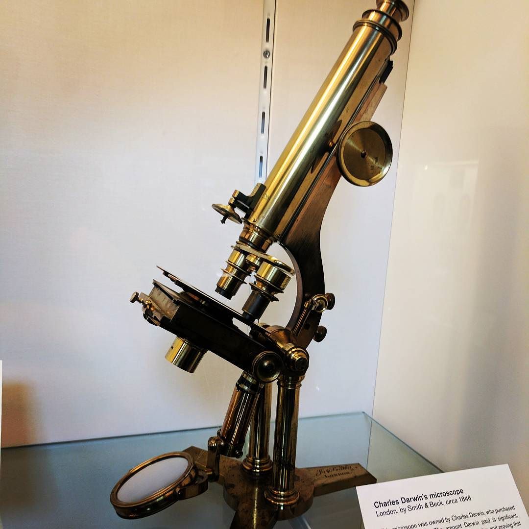 Charles Darwin’s Microscope #finchstagram – The Finch and Pea